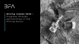 The Legal and Strategic Implications of the Musina-Makhado Special ...